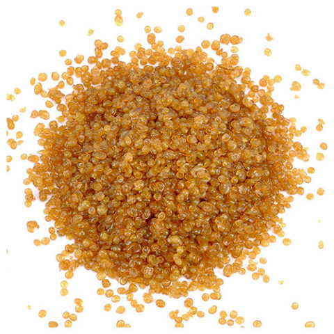 Les types de colles (et comment les utiliser au mieux) - Astuces Design